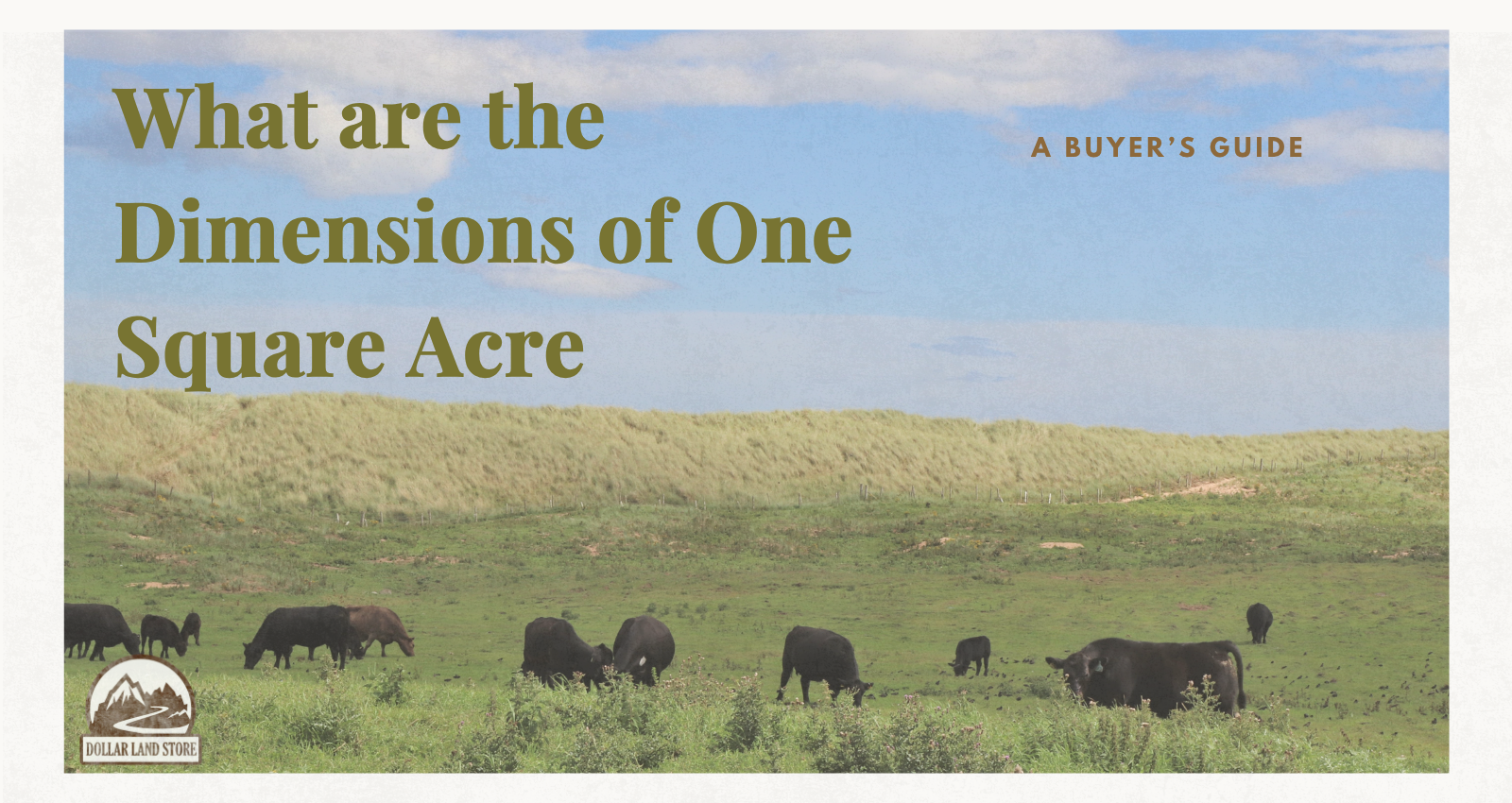 What Are the Dimensions of One Square Acre? A Buyer's Guide – Dollar ...
