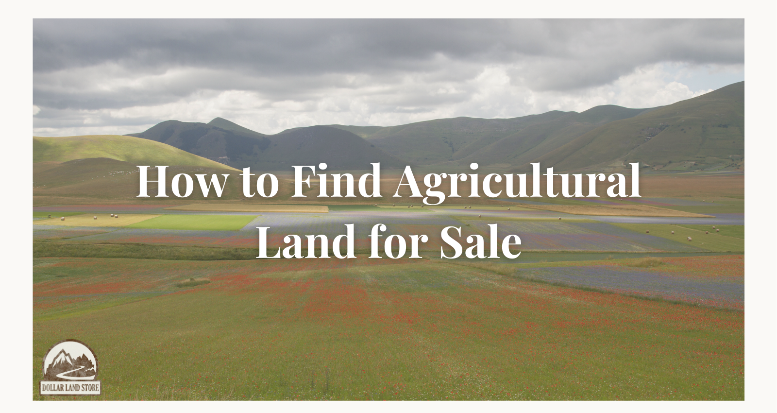 Your Guide to Finding Ag Land for Sale – Dollar Land Store