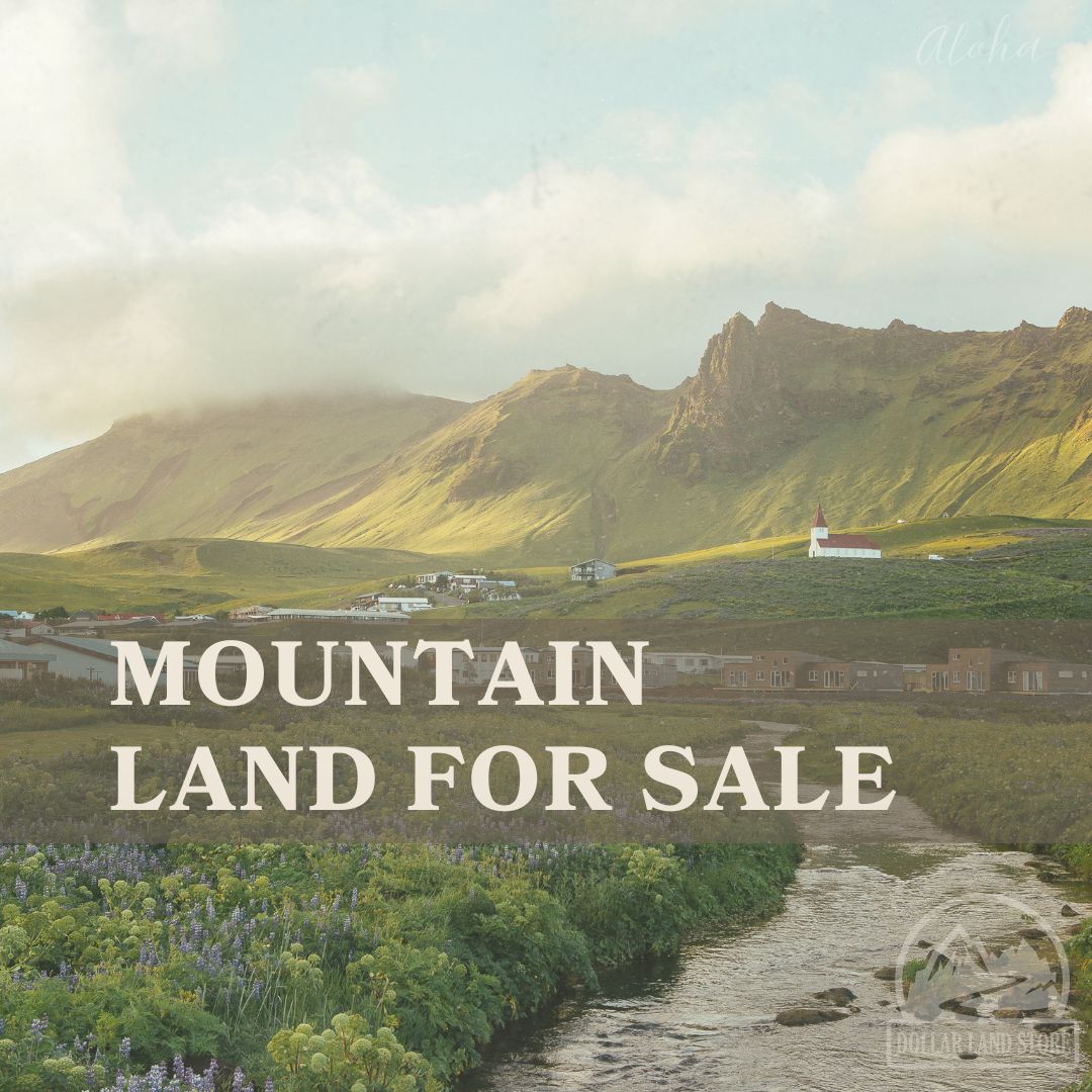 Mountain Land for Sale: Expert Tips for Smart Buyers – Dollar Land Store