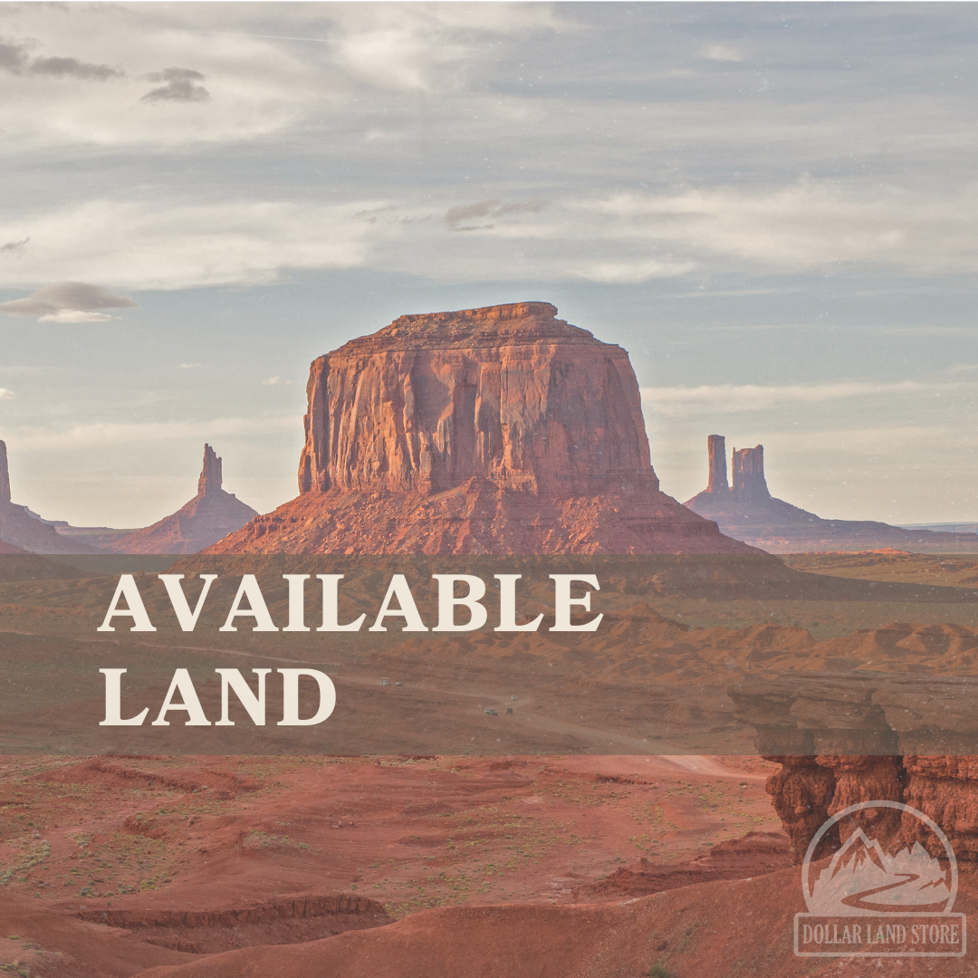 All Available Properties – Dollar Land Store