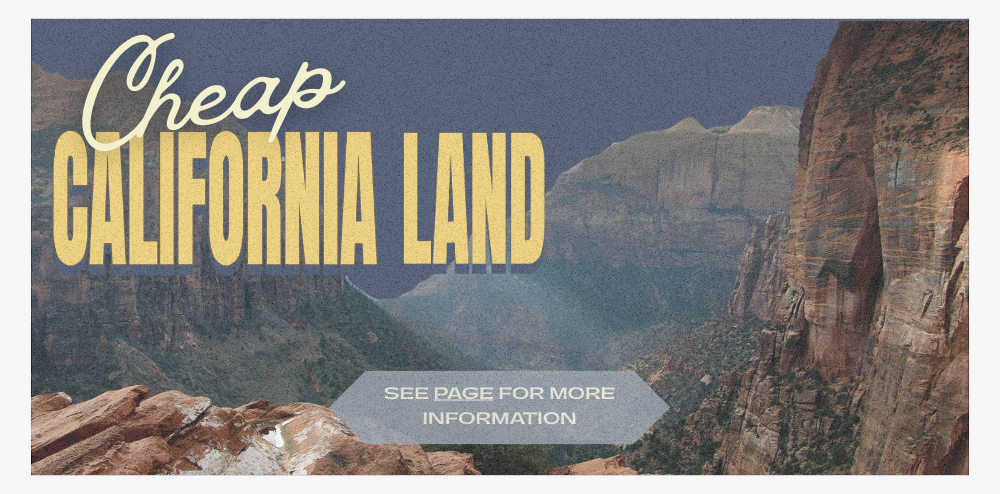 Dollar Land Store